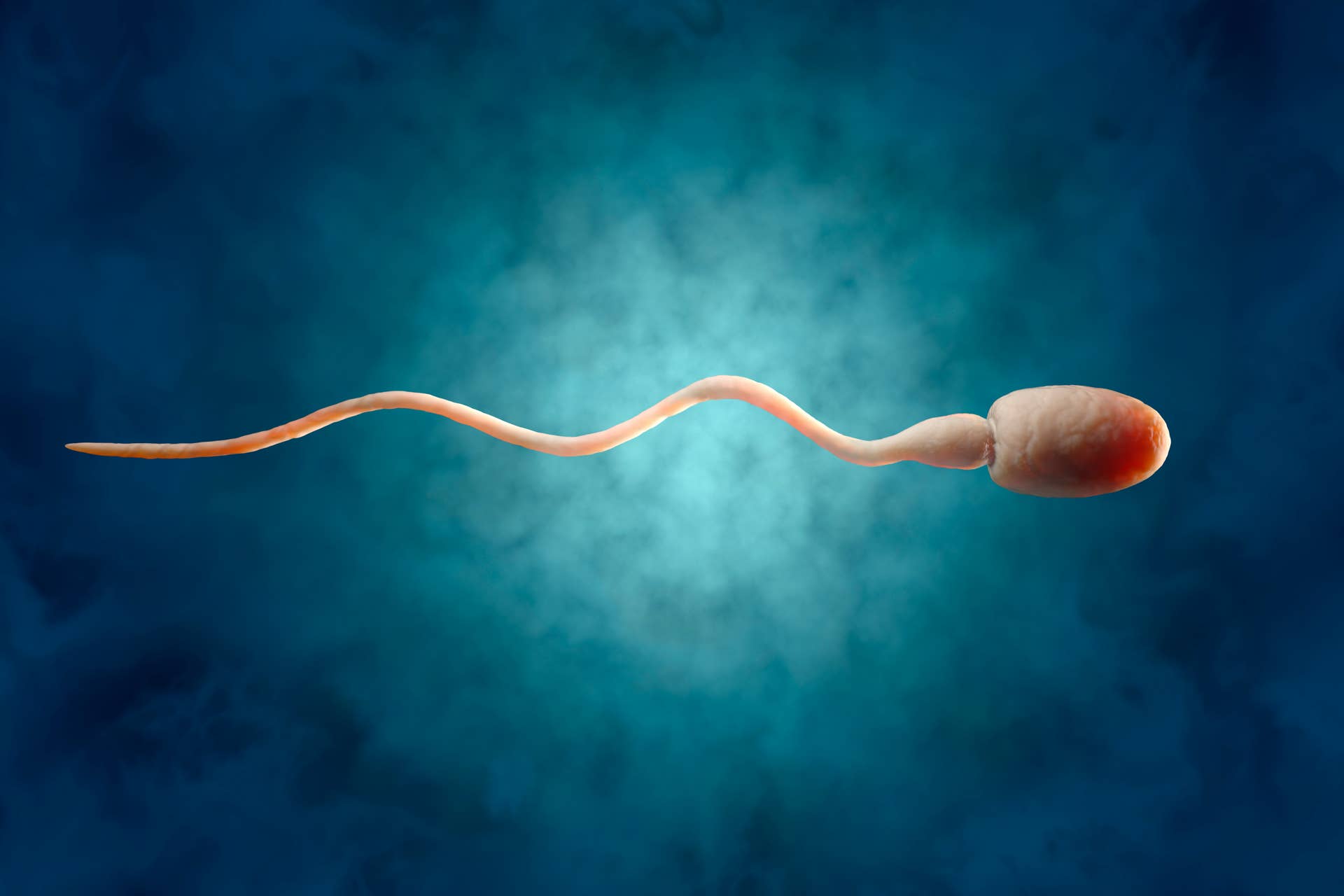 Male Fertility Is a Health Marker: What Every Man Should Know About ...