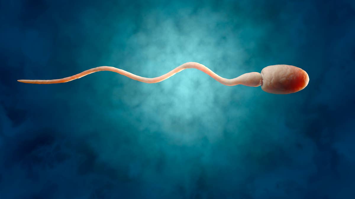 Male Fertility Is a Health Marker: What Every Man Should Know About ...