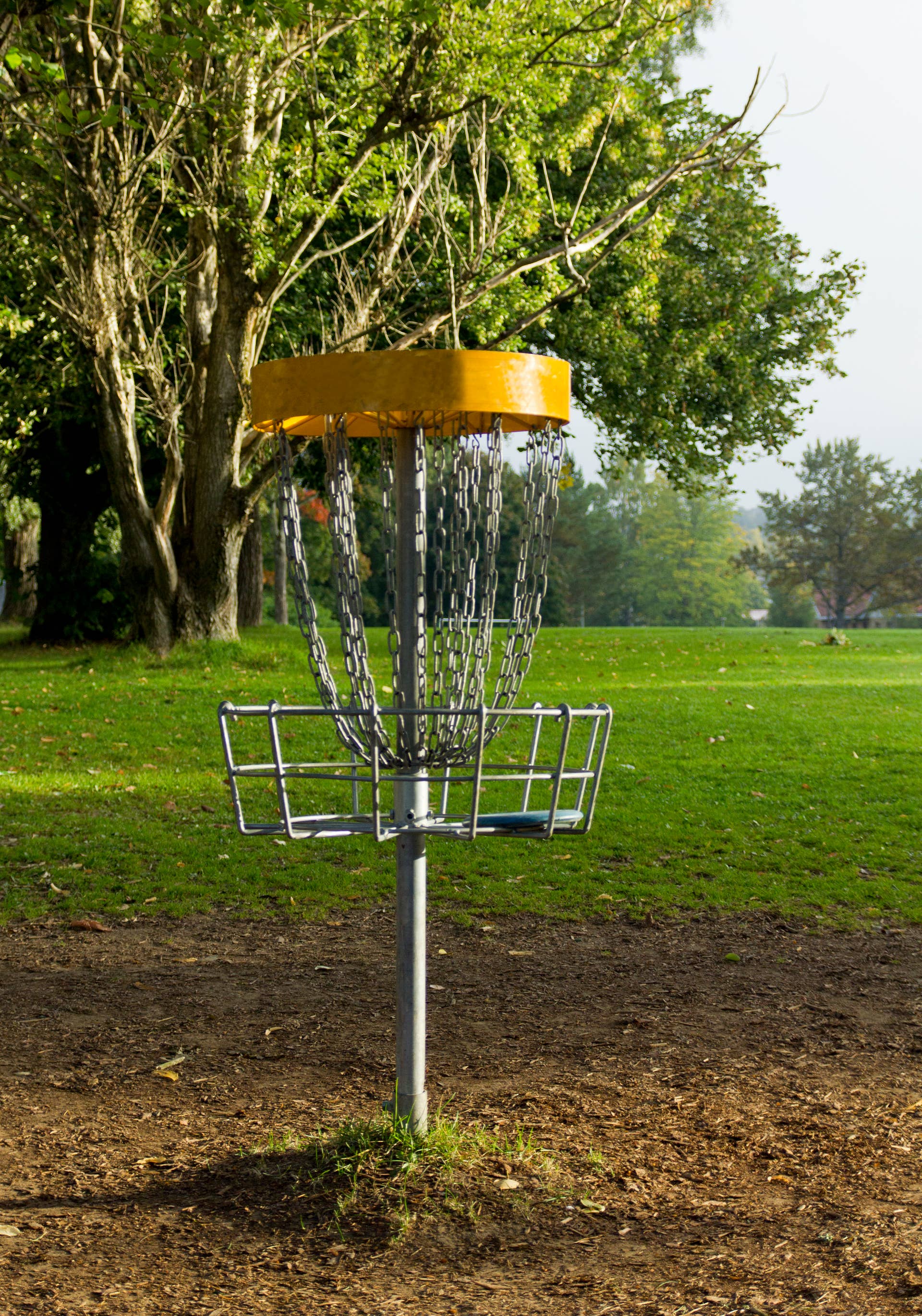 Make Disc Golf Great Again: Why One of America’s Fastest Growing Sports ...