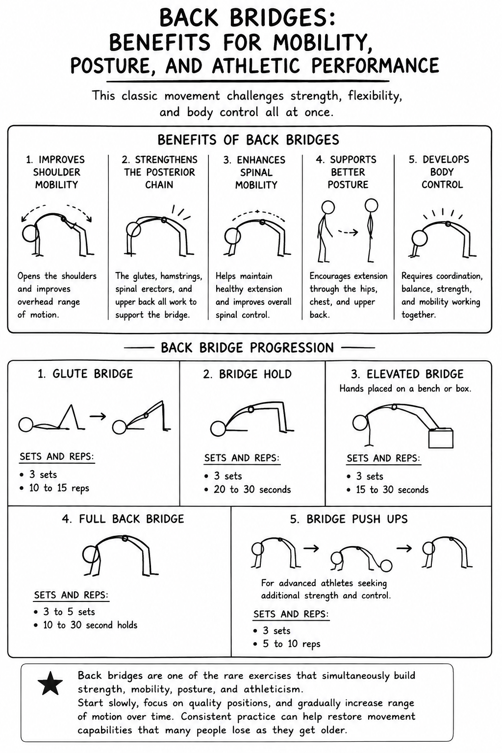 Back Bridges: Benefits for Mobility, Posture, and Athletic Performance ...