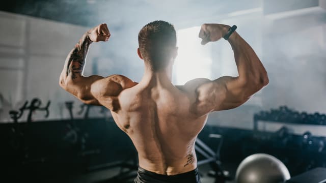 Train Like an Pro Bodybuilder With Sam Sulek's Biceps and Triceps ...