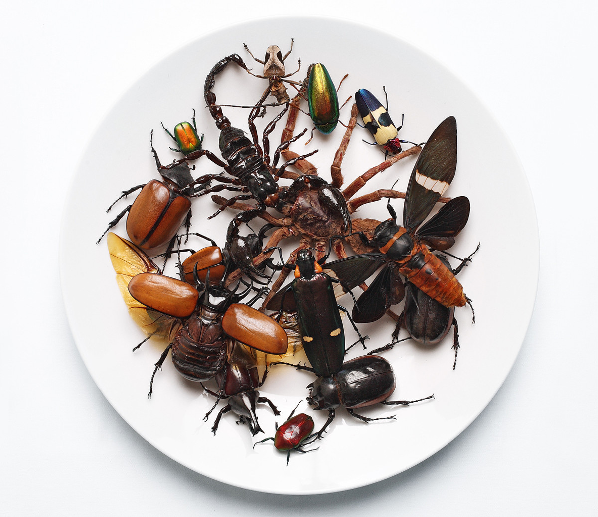 5 Weird Sources of Protein - Men's Fitness