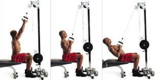 The Pulldown-Row - Men's Fitness