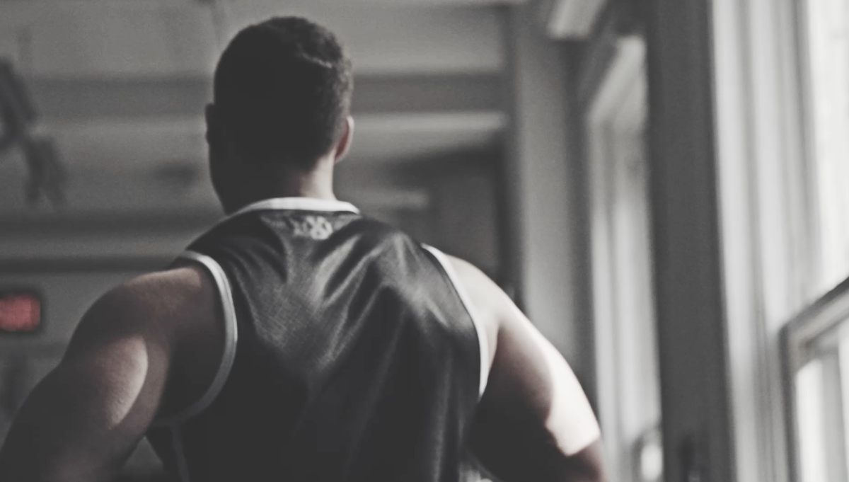 The Transition: Build a Barrel Chest, Triple-Sized Triceps, and Lean ...