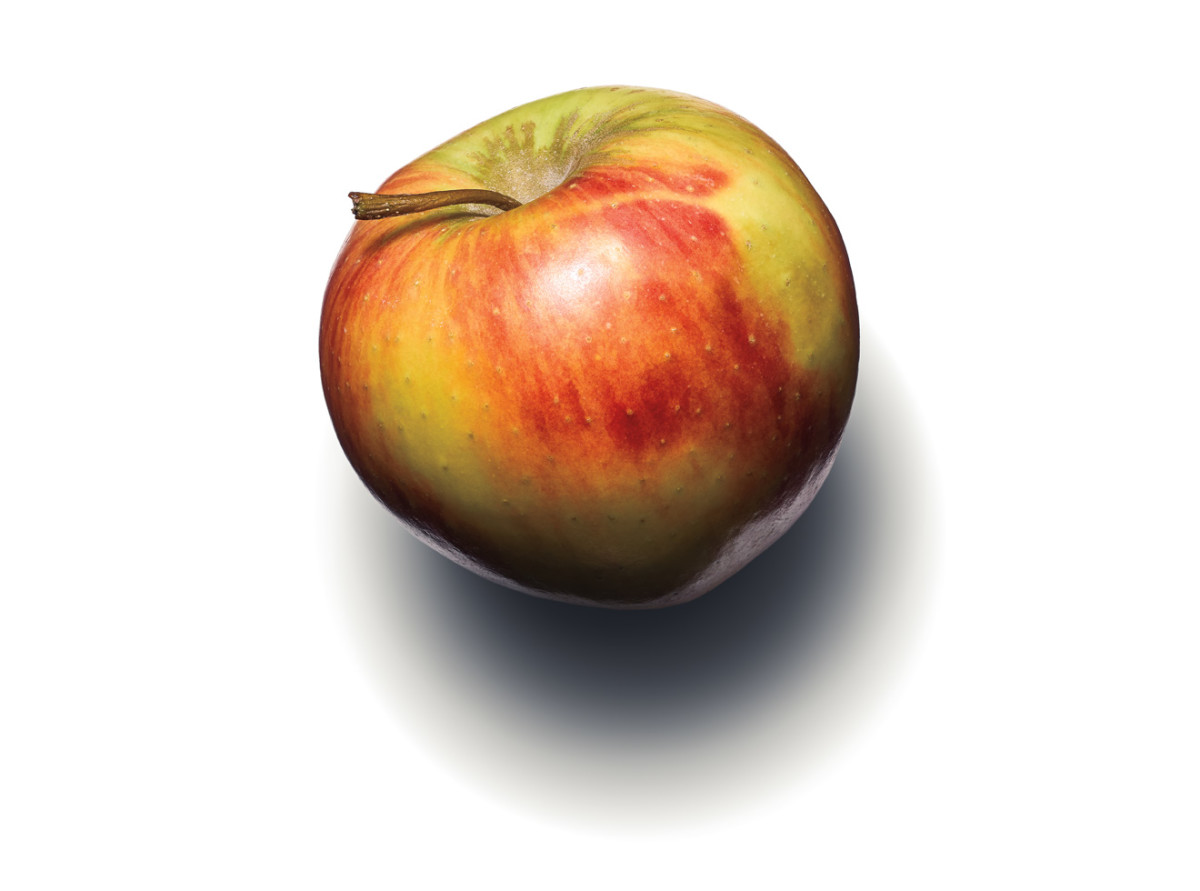 Grocery List Ideas for Men: 12 Staples That Make Cooking Way Easier ...