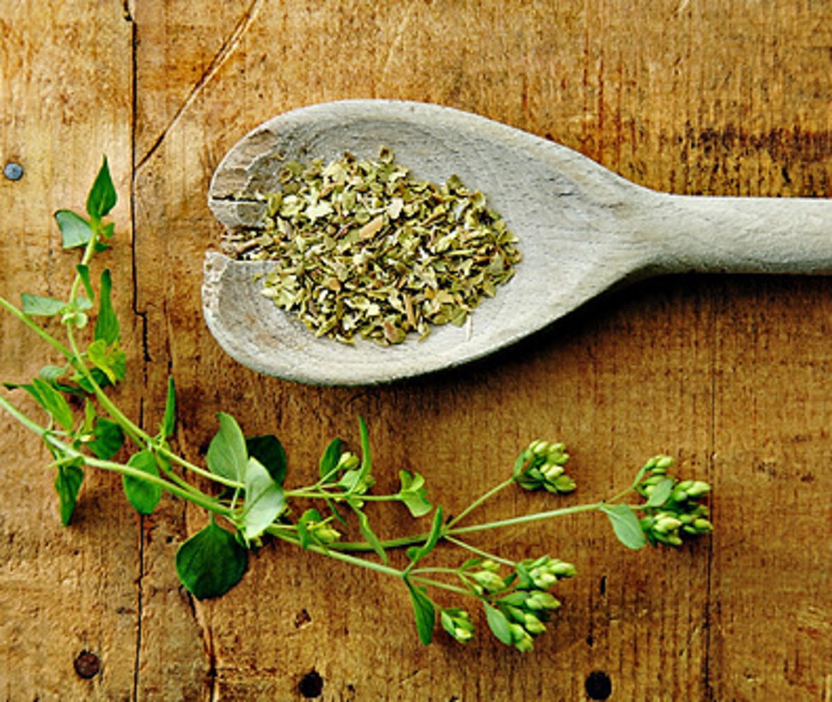 Guide to Basic Herbs - Men's Fitness