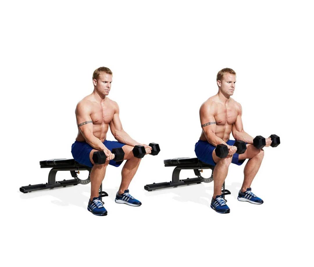 The 32 Best Arm Exercises for Your Biceps, Triceps, and Forearms - Men ...