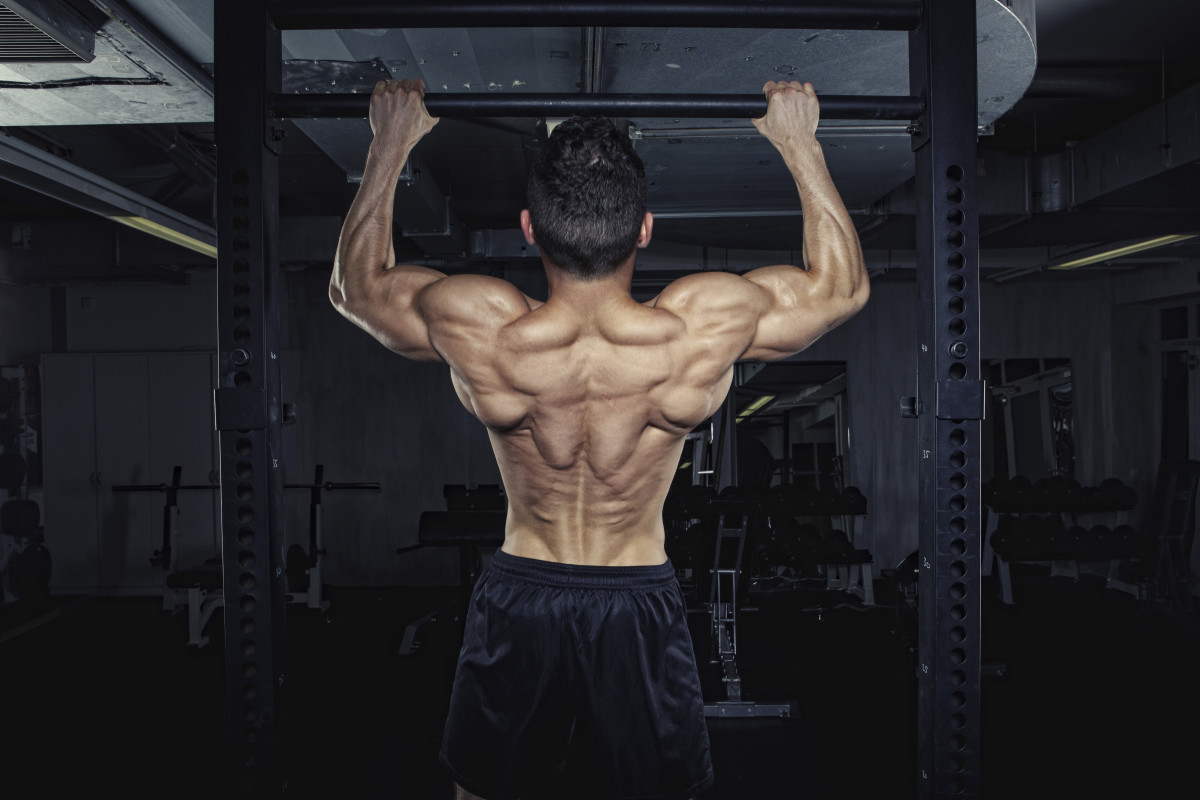 Legendary Bodybuilding Coach Critiques Sam Sulek Ahead of His Biggest ...