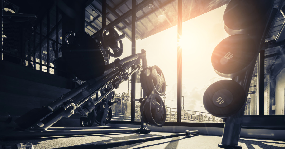 Inside Jeff Nippard’s Dual-Purpose Gym and Muscle Lab - Men's Fitness