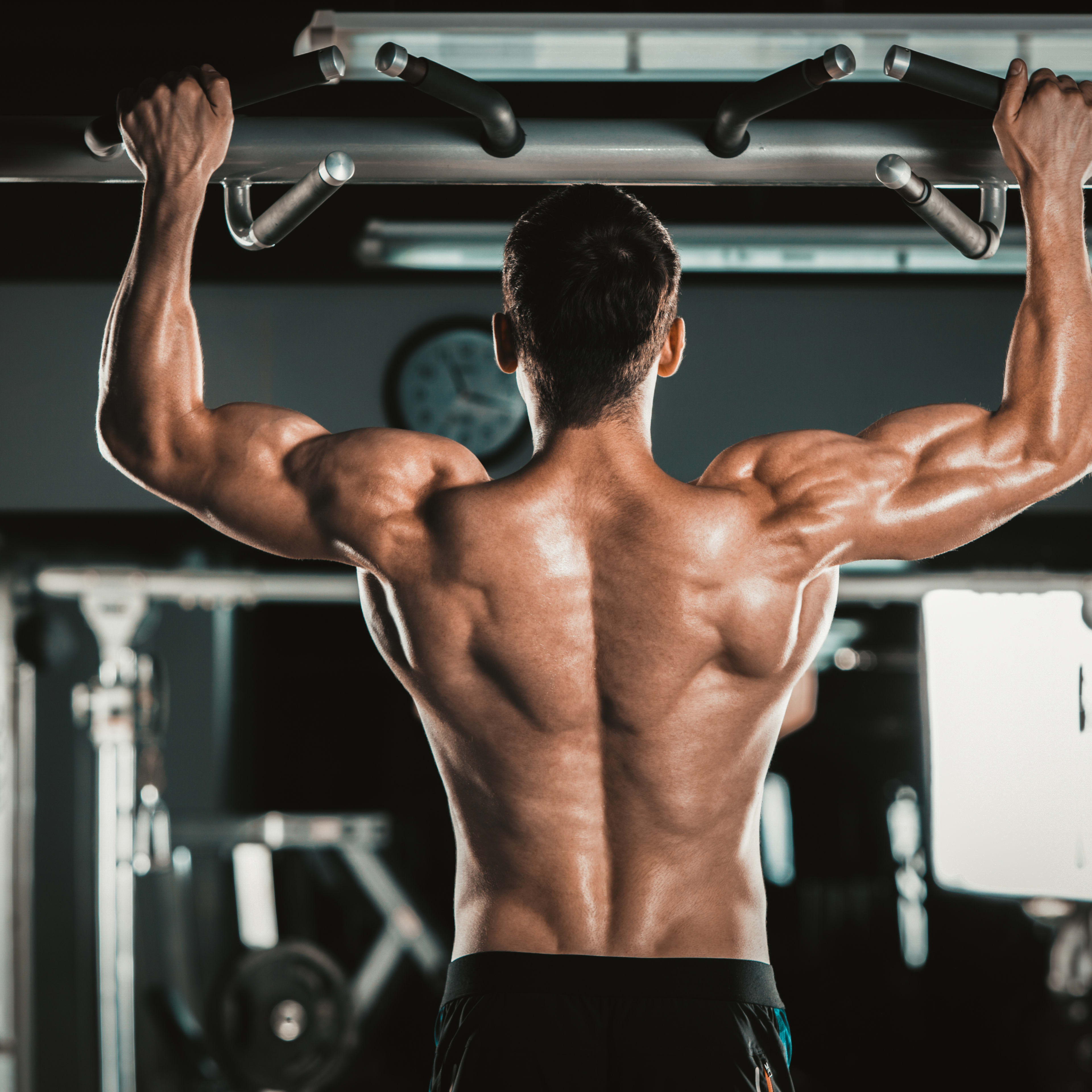 Huberman: Follow the Henneman Size Principle for Big Muscles - Men's ...