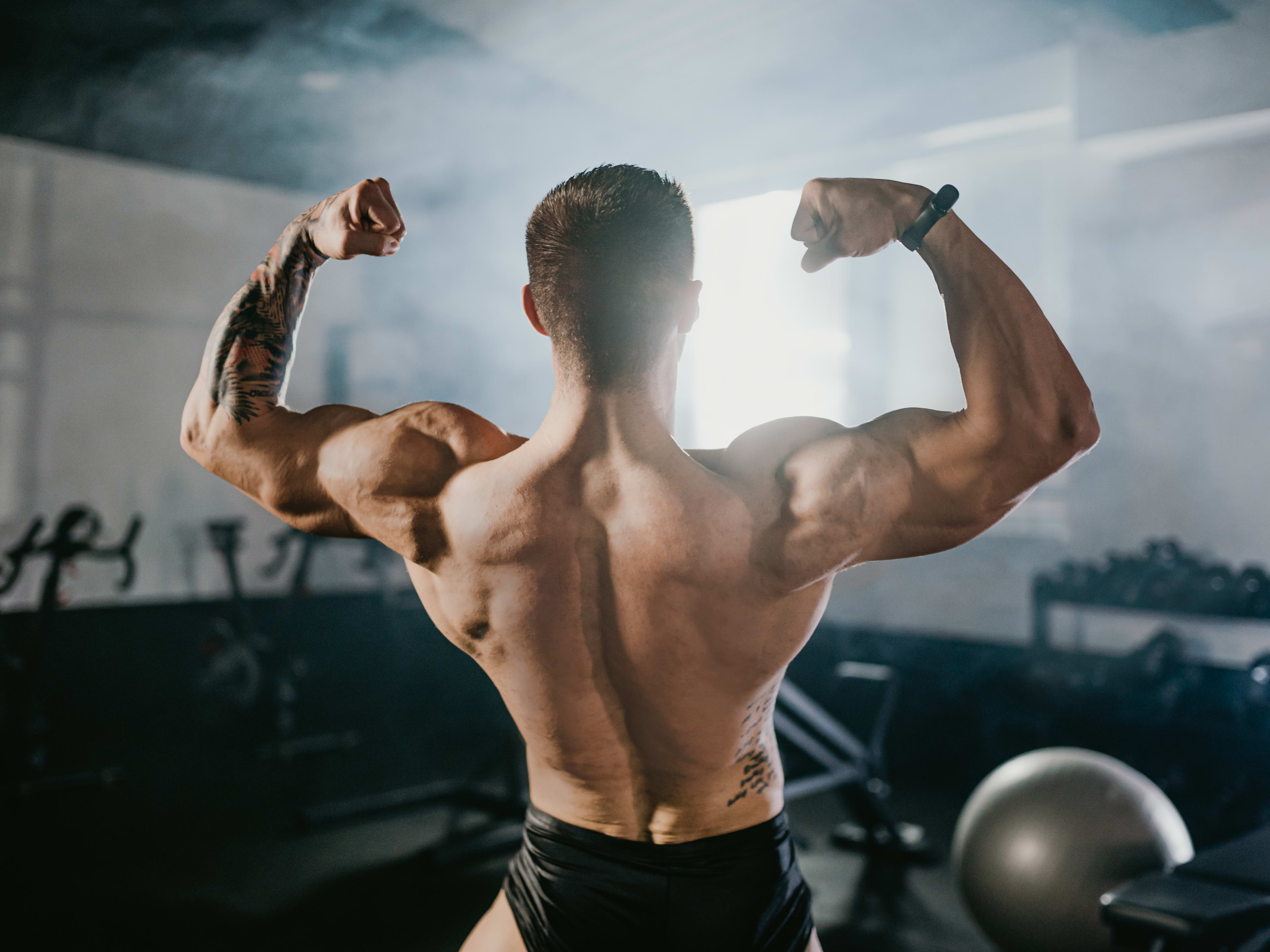 23-Year-Old Bodybuilding YouTuber Sam Sulek Earns IFBB Pro Status at ...