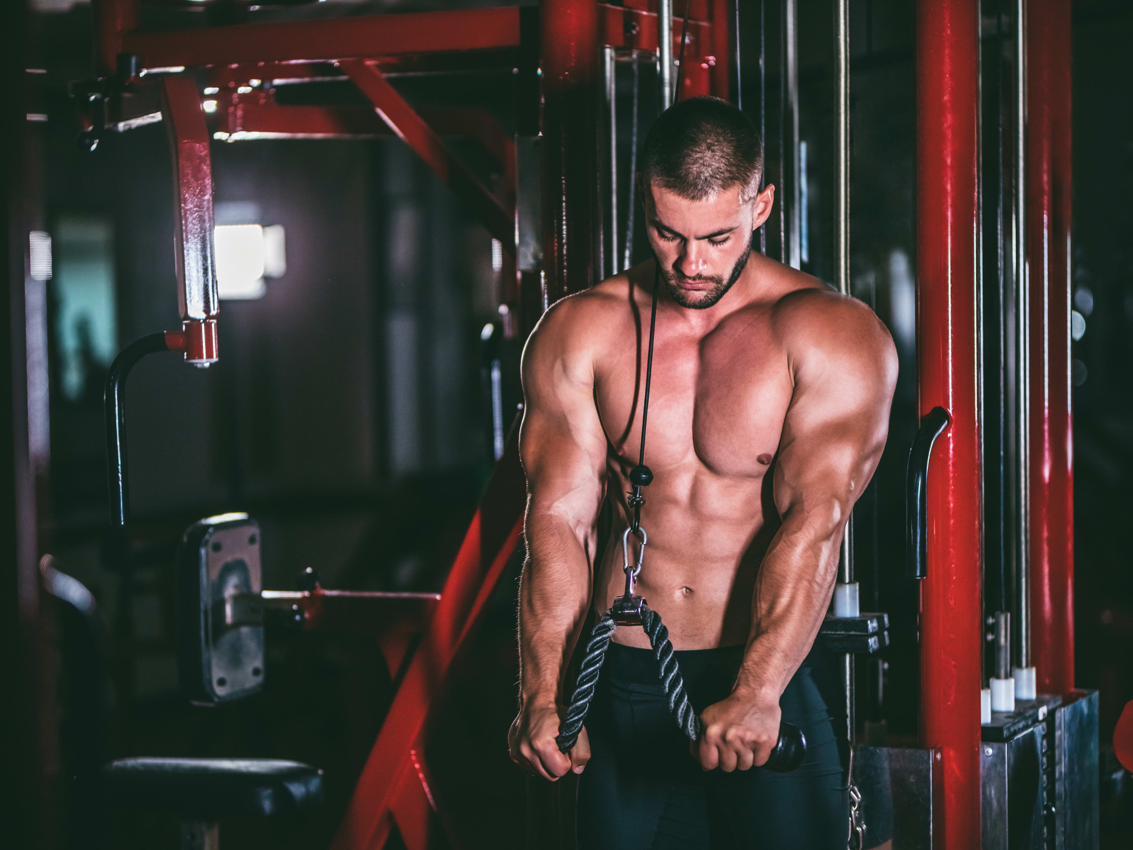 Natural Bodybuilders Agree: Overhead Tricep Extensions Are the Best Exercise for Building Bigger ...