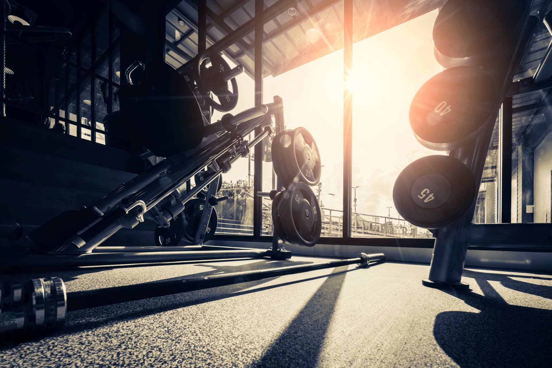 Inside Jeff Nippard’s Dual-Purpose Gym and Muscle Lab - Men's Fitness