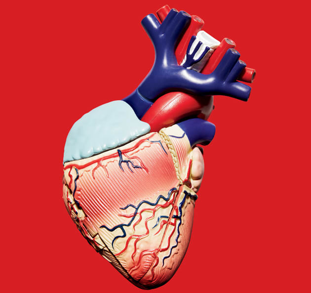 Health Tests That Could Save Your Life - Men's Fitness